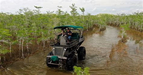 Swamp People Serpent Invasion Season 3 Streaming Watch And Stream