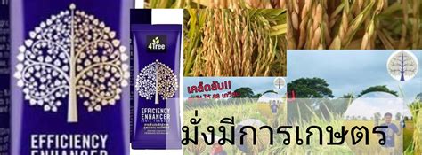 หมอเกษตร จิ๋วแต่แจ๋ว 3ปีพิสูจน์แล้ว ผลตอบลัพธ์ดีมาก‼😍😍😍 4tree™ สารสกัดอินทรีย์จากธรรมชาติ