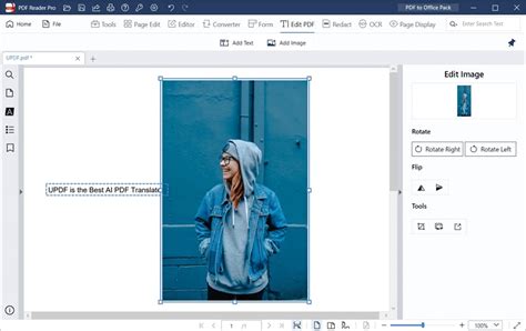 Top PDF Image Extractors Available In The Market UPDF