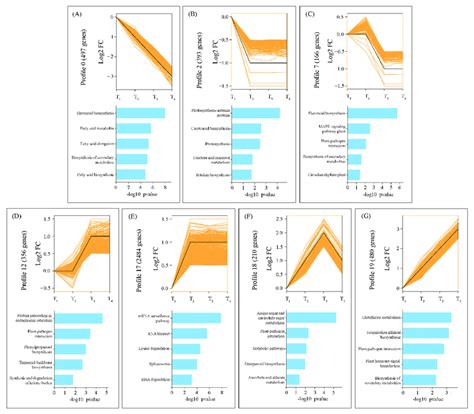 The Dynamic Expression Patterns Of Differentially Expressed Genes Download Scientific Diagram