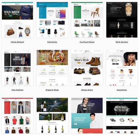 Design Professional Shopify Website Dropshipping Store For 65 Seoclerks