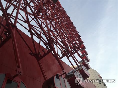 인권위 장애인 못타는 놀이공원 시설 실태조사 해야 나무뉴스