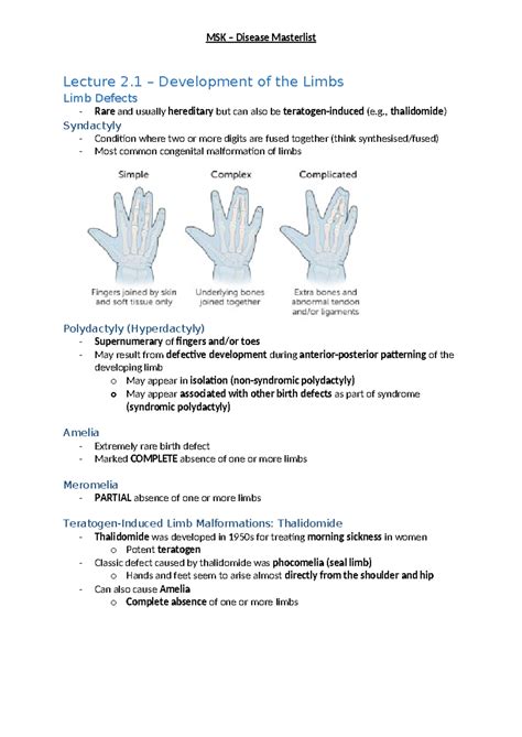 Msk Diseases Summary Musculoskeletal System Lecture 2 Development Of The Limbs Limb