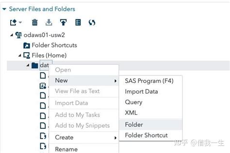 Sas系列03——数据导入 知乎
