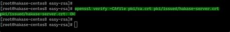How To Install Openvpn Server And Client With Easy Rsa 3 On Centos 8