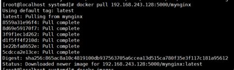 docker 搭建私服仓库 明天 你好啊 博客园