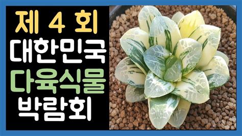 제4회 다육식물 박람회 구경하세요 다육이 하월시아 선인장 코노 리톱스 아프리카식물 구근식물 예쁜식물 멋진식물