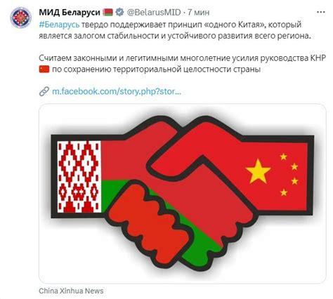 Заявление МИД Беларуси — Желтые СЛИВЫ