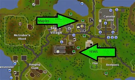 Maple Tree Xp In Osrs The Ultimate Guide To Woodcutting And Farming