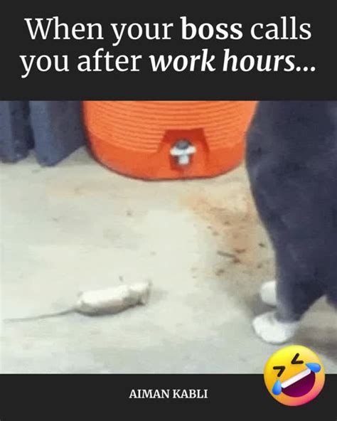 Madiha Ahmed On Linkedin Really