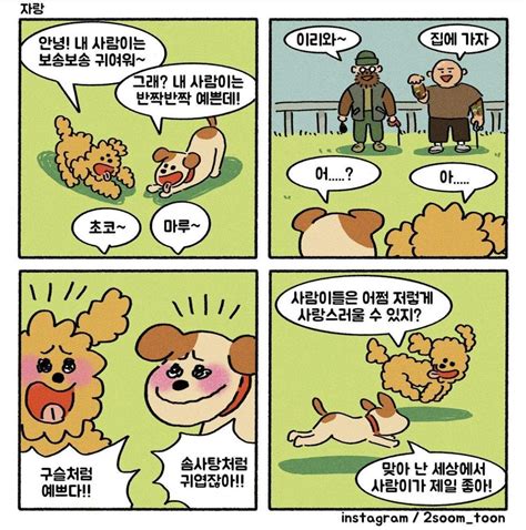 이슈유머 영감을 주는 4컷 만화