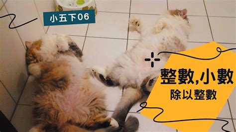 5b06 整數 小數除以整數康軒5下第6課南一5下第5課國小數學5年級 YouTube