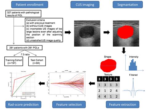 Cancer Letters 基于临床信息、常规超声和影像组学的预测模型提升腮腺恶性病变的诊断效能研究肿瘤clin