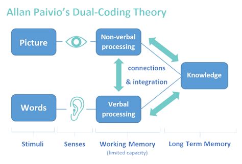 dual processing psychology of design