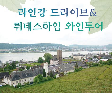 뤼데스하임 와인투어 뤼데스하임 기차투어와 뤼데스하임 차량투어