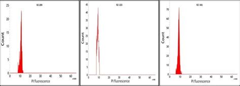 Histograms Of Relative PI Fluorescence Intensities Obtained After Download Scientific Diagram