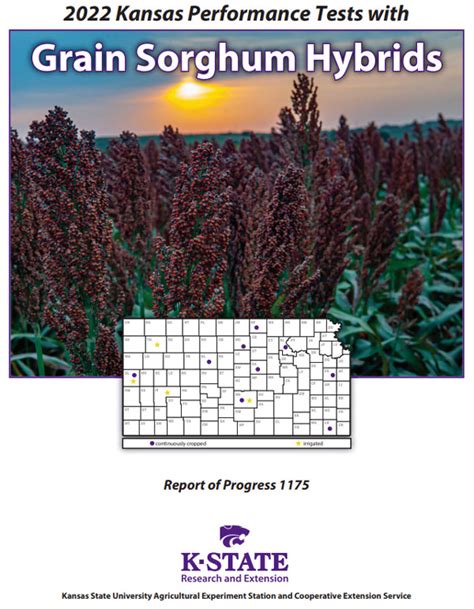 Agronomy Eupdate February 2nd 2023 Issue 941