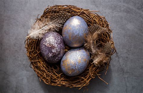 어두운 배경에 라벤더와 보라색 파란색과 황금 계란 2022년의 보라색 색조 트렌드는 매우 관련이 있습니다 천연 염료 카르케이드 차 맨 위 보기입니다 텍스트에 대한 장소의