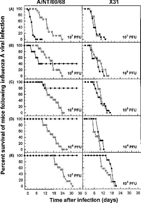 Figure 1 From Contribution Of Virus Specific Cd8 Ϩ Cytotoxic T Cells To