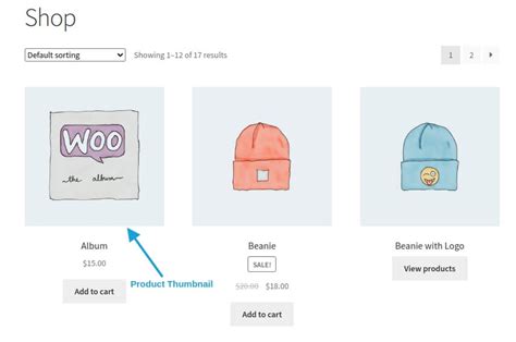 Types Of WooCommerce Issues How To Fix Them WP Swings