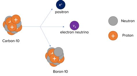 Stable And Unstable Nuclei Questions And Revision MME