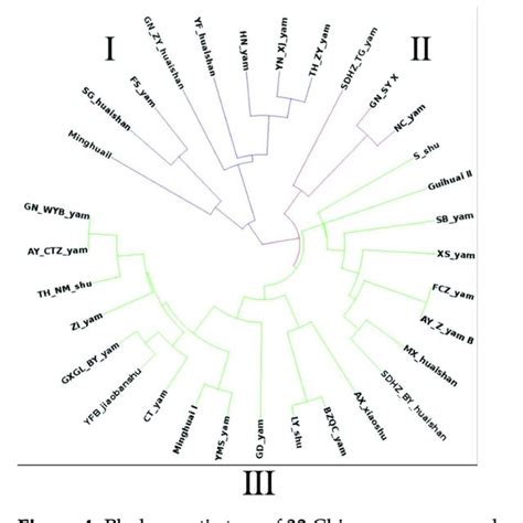 Ssr Type Statistics Chart Download Scientific Diagram