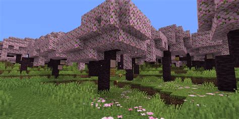 Minecraft 1 20 Update Adding New Biome