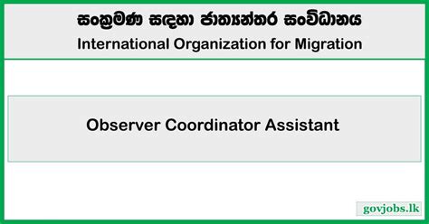 Observer Coordinator Assistant International Organization For