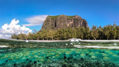 Plongée à LÎle Maurice Nos Conseils Et Offres Tourlane