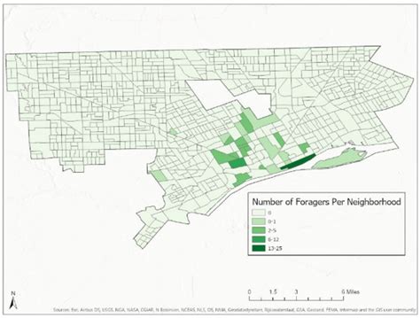 Um Flint Professor Uses Gis To Research Foraging In Detroit University Of Michigan Flint