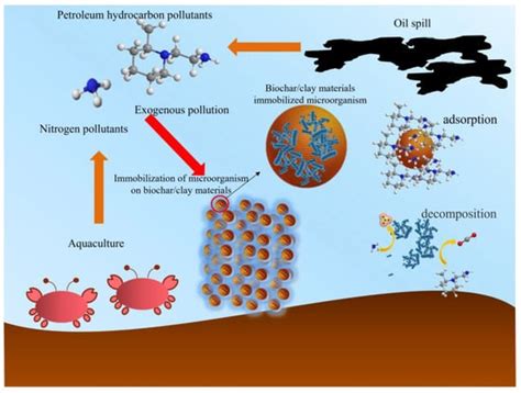 Biocharclay Composite Particle Immobilized Compound Bacteria Preparation Collaborative