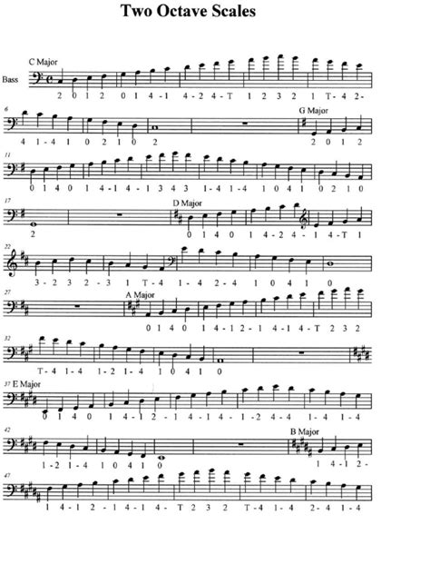Scale Length Of Upright Bass At Mamie Shields Blog