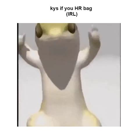 Dancing Lizard Animated  Maker Piñata Farms The Best Meme