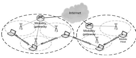 Micro And Macro Mobility Download Scientific Diagram