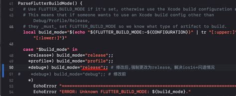 flutter混合项目在 ios14启动崩溃处理方法 轻识