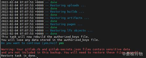 Docker 中 Gitlab 数据的备份和迁移 阿里云开发者社区