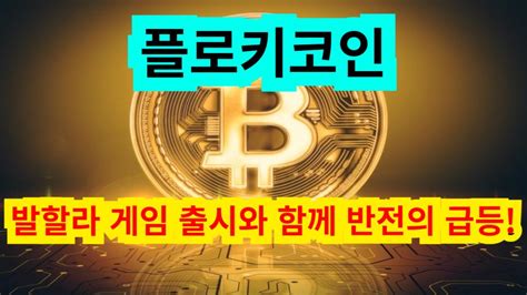 플로키코인전망플로키코인분석플로키코인정보 플로키 코인 발할라 게임 출시와 함께 반전의 급등 Youtube