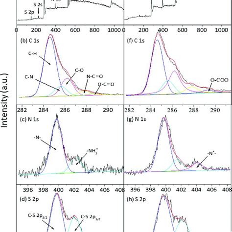 Xps Wide Scan C 1s And N 1s Core Level Spectra Of The A− C Ss G Pmpc