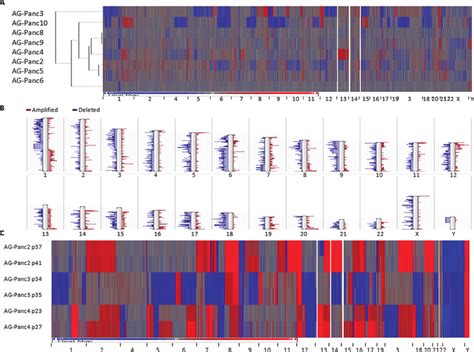 Copy Number Variation Analysis Performed By Acgh A Heat Map And