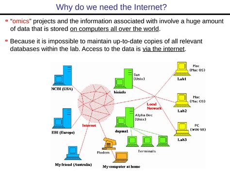 Bioinformatics Lecture