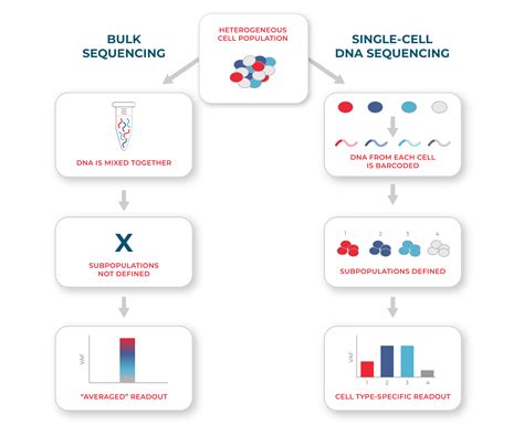 Single Cell Sequencing Vs Bulk Sequencing Mission Bio