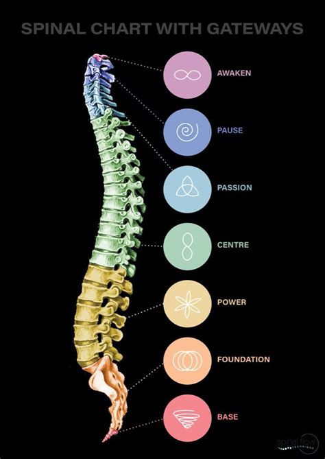 Spinal Flow Technique 7 Gateway Diagram Spinal Degeneration Spinal Spinal Muscular Atrophy