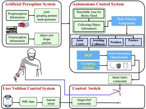 Schematic Diagram Of Prosthetic Whole Body Control Download