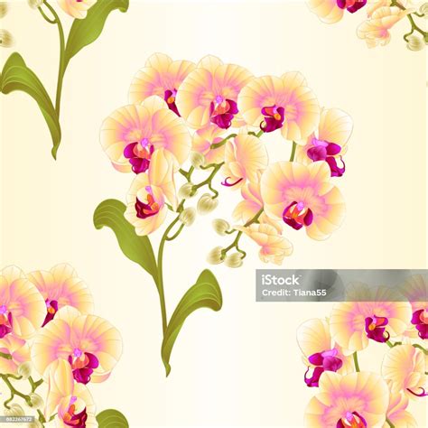 원활한 텍스처 분기 Phalaenopsis 노란색 꽃 열 대 난초 녹색 줄기 및 새싹 및 빈티지 벡터 식물 일러스트 레이 션 디자인에 대 한 편집 가능한 나뭇잎 0명에 대한