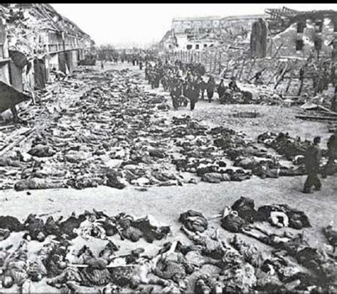 任公梦 on Twitter 林彪部队在1948年围困长春的时候为了消耗长春城内的粮食供应共军奉命不许老百姓出逃结果兵困长春150多
