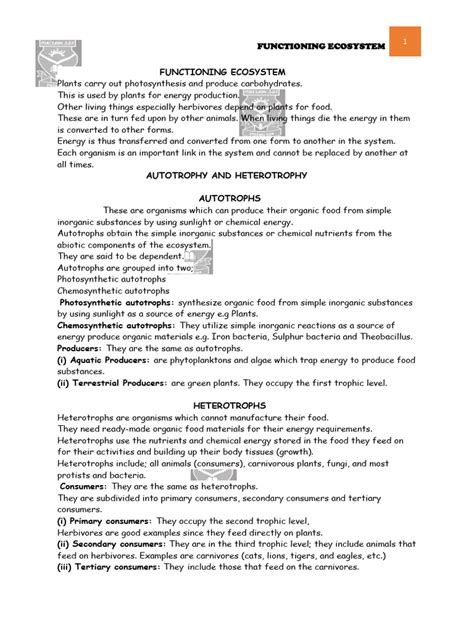 Split 20231113 1916 Pdf Decomposition Food Web