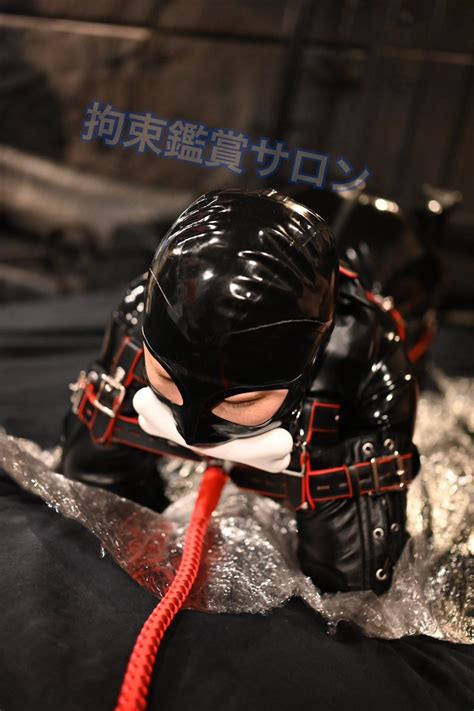 四分 on Twitter ヒトイヌ ラバーのキャットスーツにヒトイヌのギア 赤がいいアクセントになってます なぜか並んで寝転ぶ