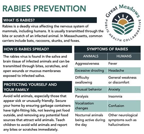 Rabies Prevention