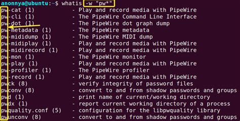 The Whatis Command In Linux 12 Practical Examples