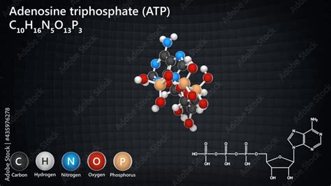 Adenosine Triphosphate Molecular Structure Atp Is Intracellular Energy Transfer C10h16n5o13p3